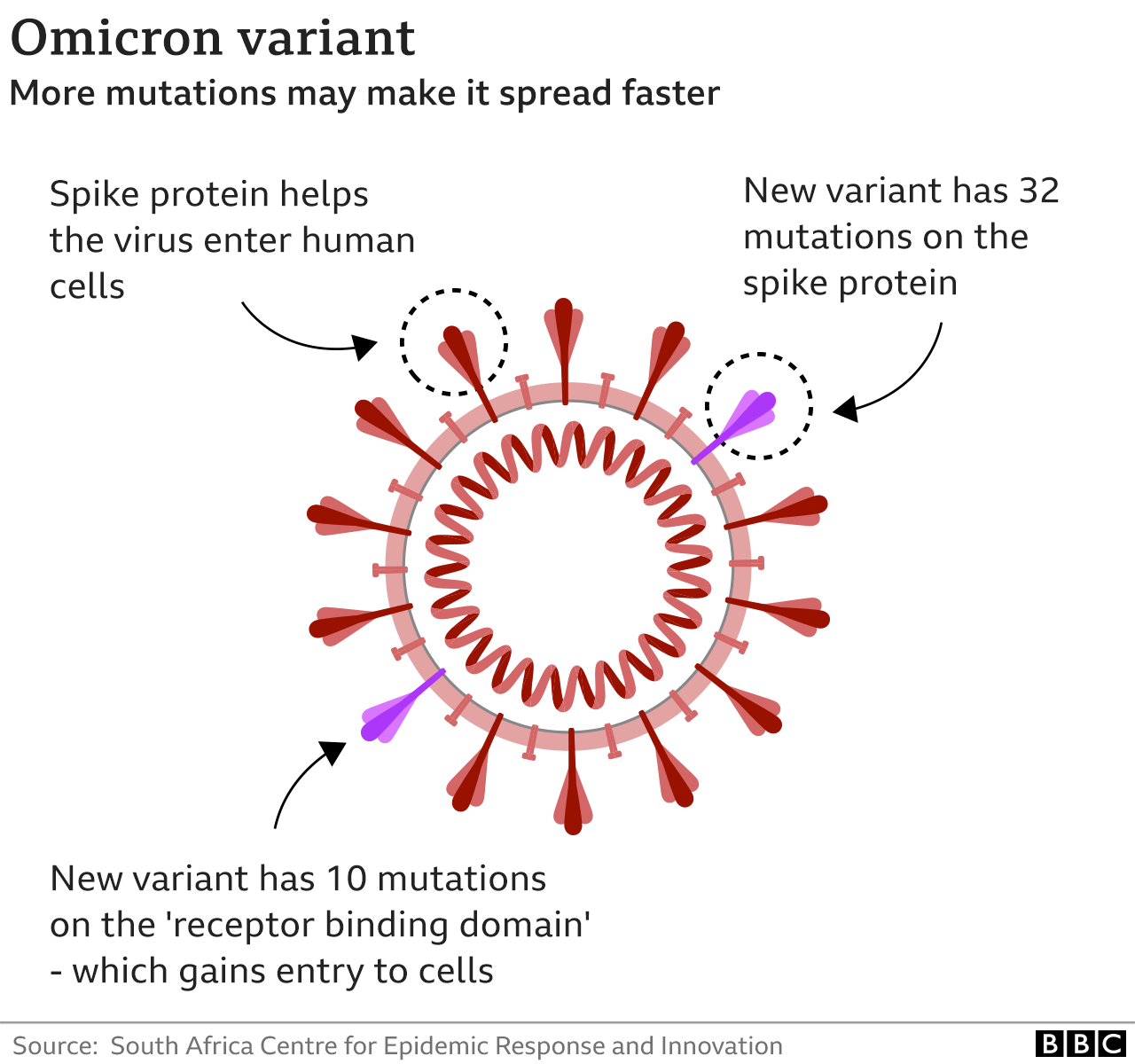 What are the Covid variants and do vaccines still work? - BBC News