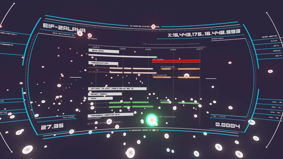 The serious science (and business) of gaming - BBC News