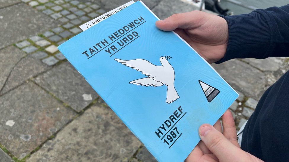 Peace message: Gareth Bale joins children of Wales for centenary year ...