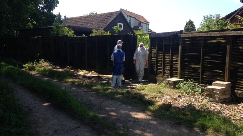 Peter Stuart murder: Son-in-law Steve Paxman arrested - BBC News