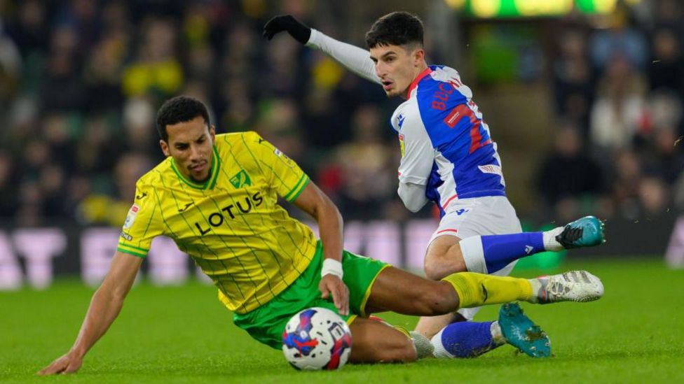 Newcastle: QPR sign Hayden on loan - BBC Sport