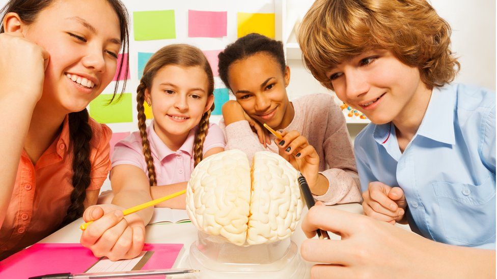 Teenagers' brain connections 'make them learn differently' - BBC News