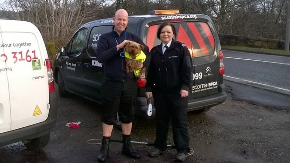 Yorkshire terrier rescued from River Carron - BBC News