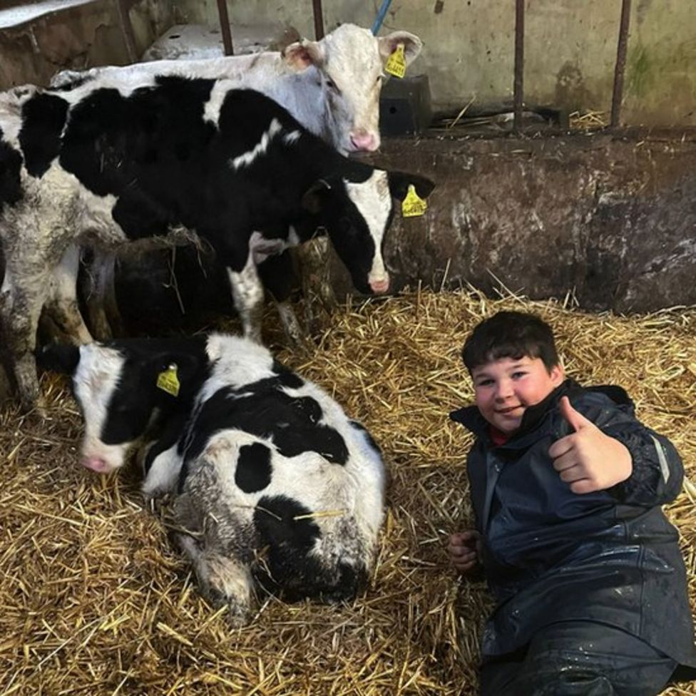 Hanner Tymor Tomos Bwlch - BBC Cymru Fyw