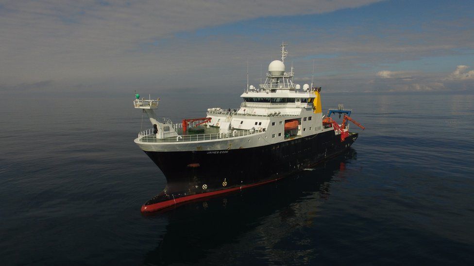 Life thriving on UK's biggest underwater mountains - BBC News