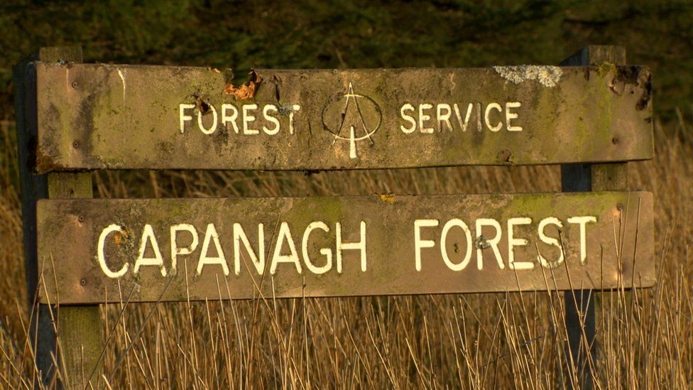 Capanagh Forest arms find: Police baffled by apparent dissident ...