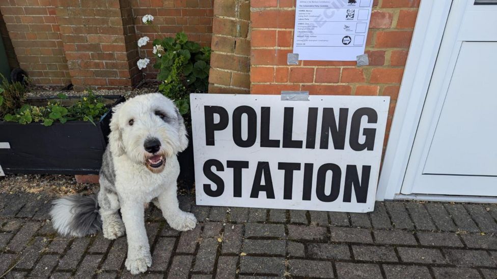 General election: Pets join owners at polling stations - BBC News