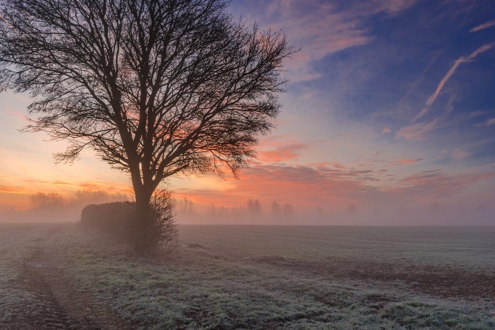 England's Big Picture: 6 - 12 February - BBC News