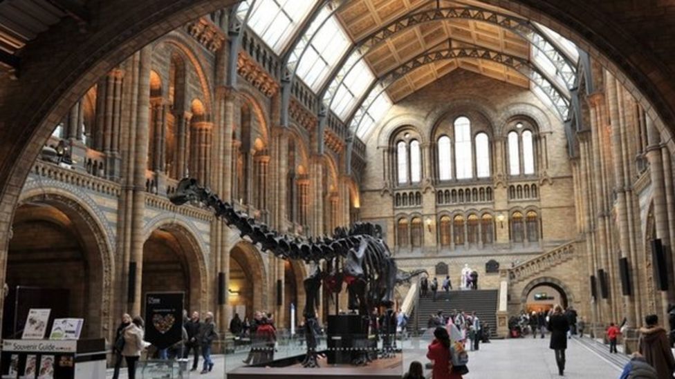 Sir Richard Owen: The man who invented the dinosaur - BBC News