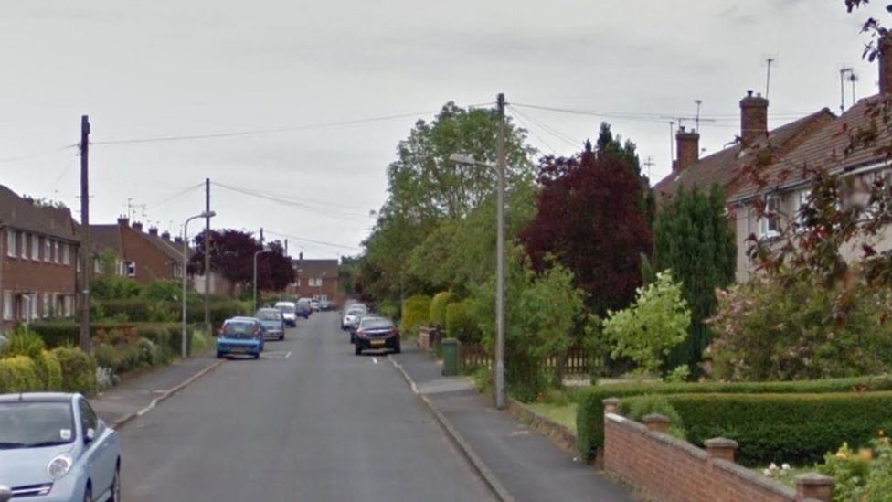 Dog attack-levels on Royal Mail workers 'unacceptable' - BBC News