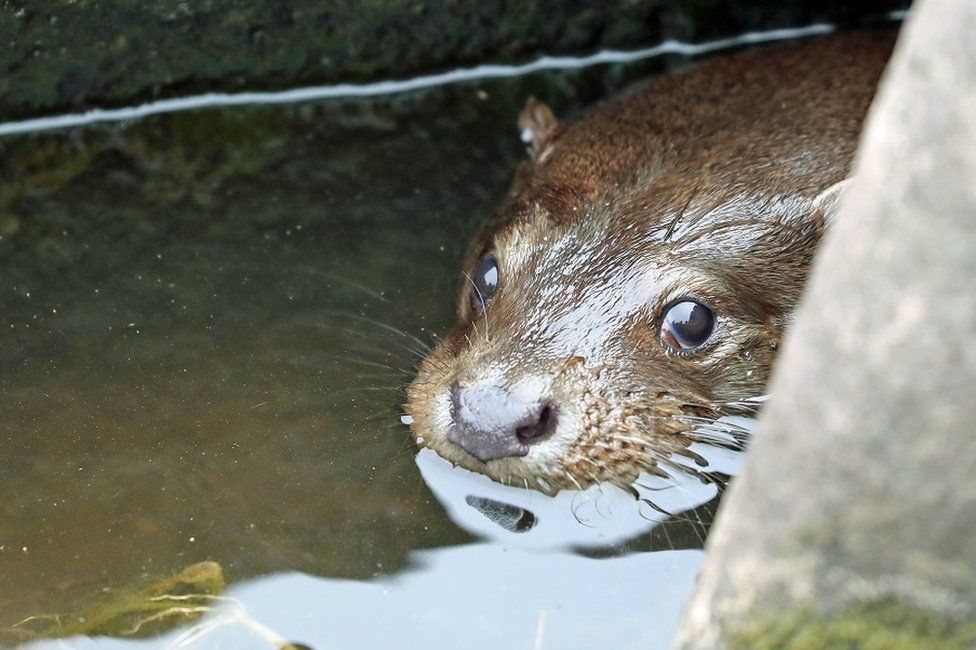 Your pictures of Scotland 25 September - 2 October - BBC News