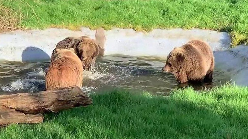 Whipsnade Zoo getting new enclosure for critically endangered animals ...