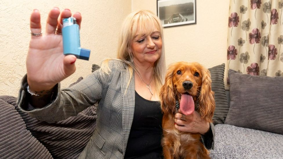 Dog rushed to vets after making inhaler explode - BBC News