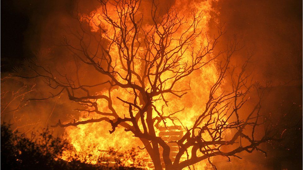 In Pictures: Devastation from S California wildfires - BBC News