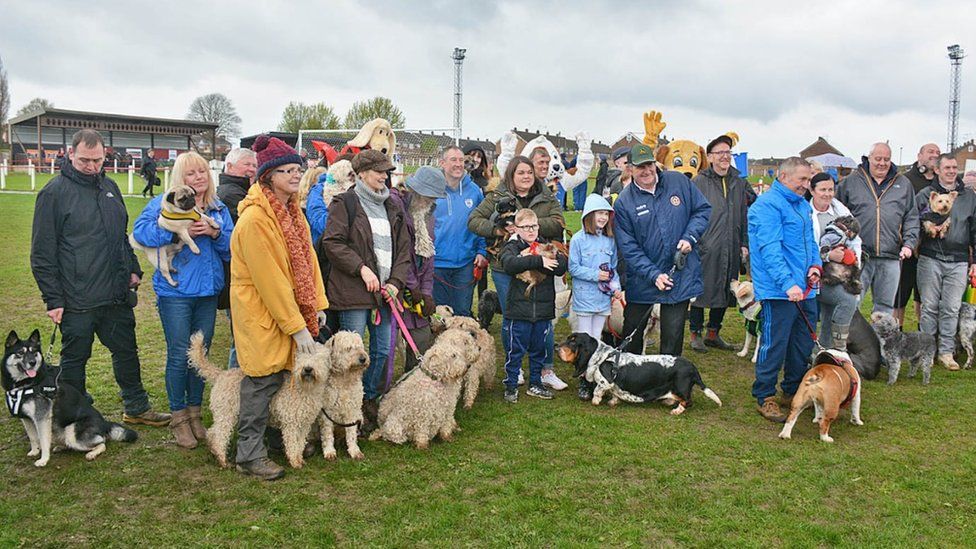 Maltby Main FC claims world record in dog charity event - BBC News