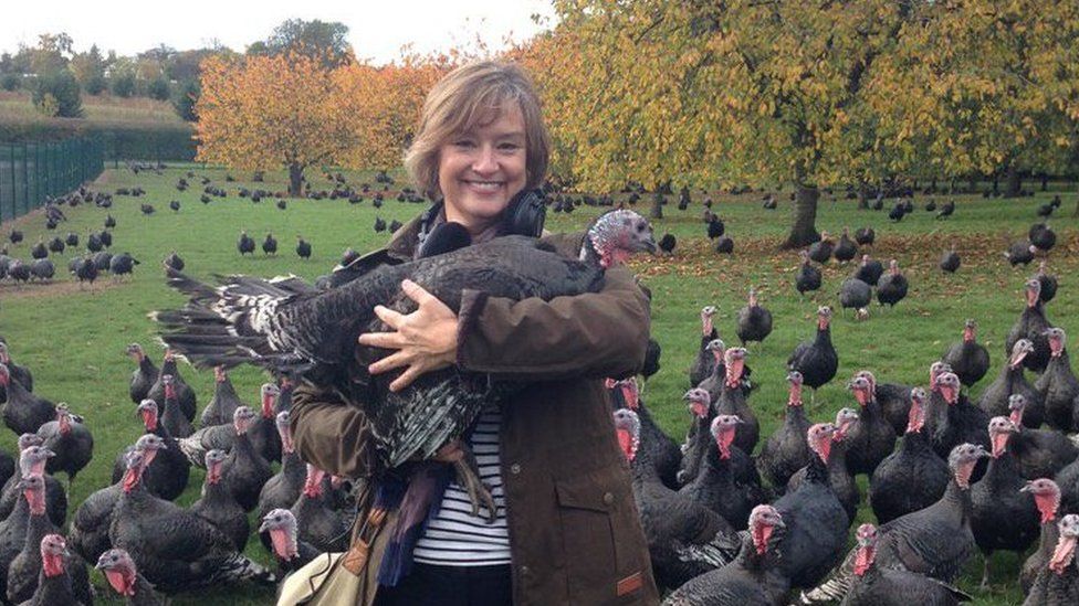 Turkeys prepared for Bonfire Night with daytime fireworks - BBC News