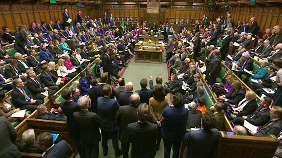 What do MPs think about the EU? - BBC News