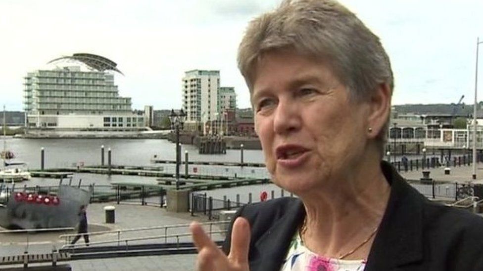 Ymdrech gwirfoddolwyr Partneriaeth Ogwen 'yn codi calon' - BBC Cymru Fyw