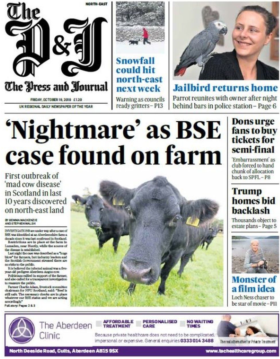 Mad cow disease 'nightmare' and teacher 'crisis' - BBC News