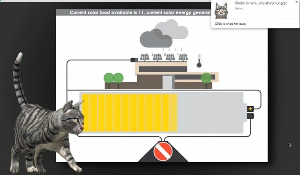 Virtual cat is newest 'pupil' at Cambridge school - BBC News