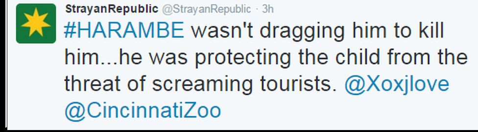 Gorilla killing: Harambe's death at zoo prompts backlash - BBC News