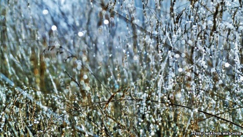 Profile: Peter from Altass - BBC Weather