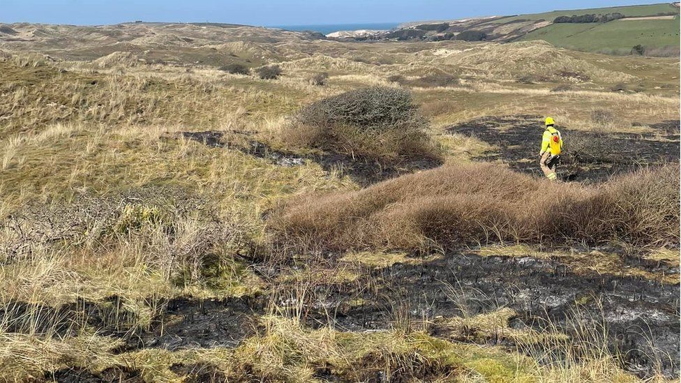 Cornwall gorse fire believed to be arson - BBC News