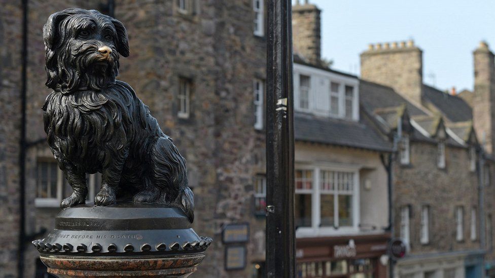 Greyfriars Bobby film star dog honoured in Edinburgh - BBC News