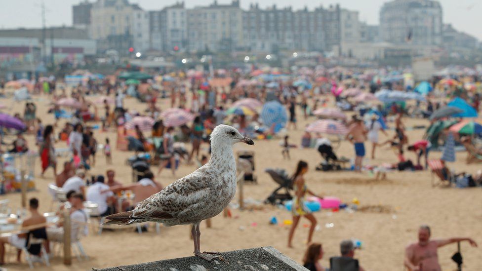 UK weather: Beaches busy as hot weather continues - BBC News