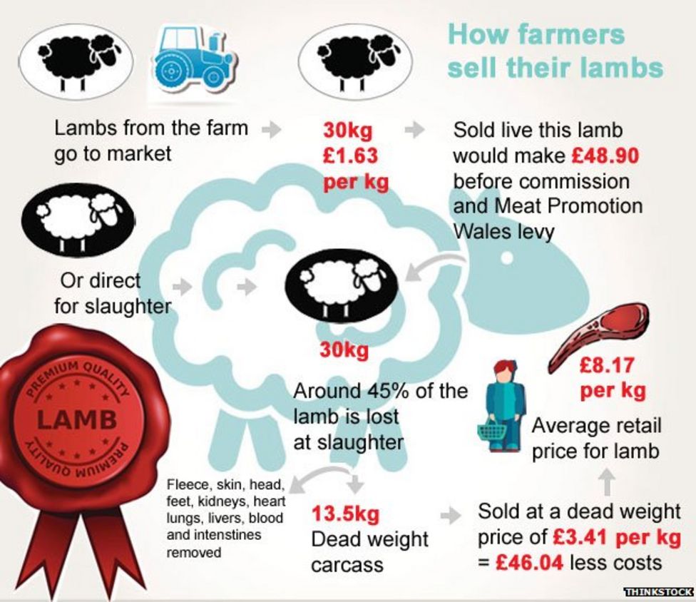 Farmers hold crisis summit over 'critical' lamb price fall - BBC News