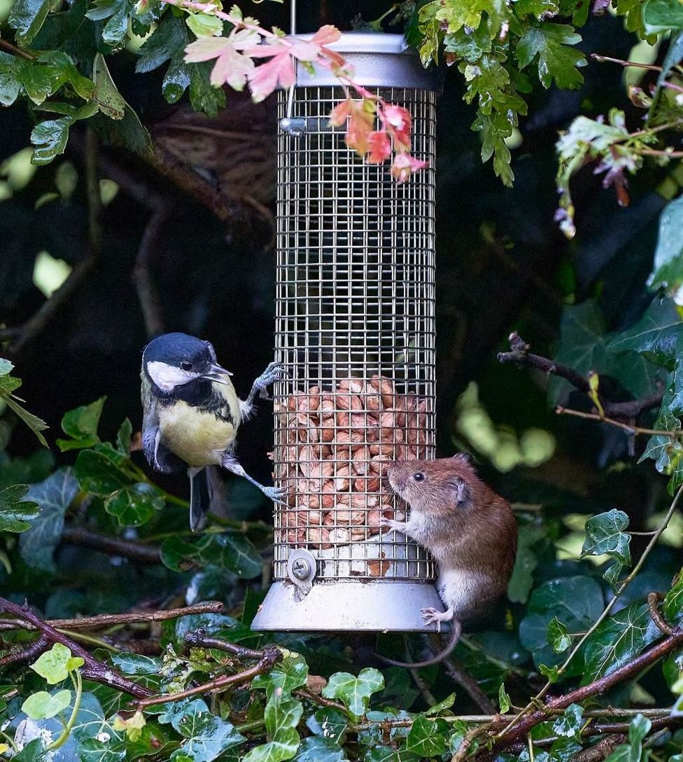 Your pictures of Scotland: 26 August-2 September - BBC News