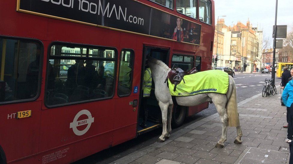 Horse 'boards' London bus after man collapses - BBC News