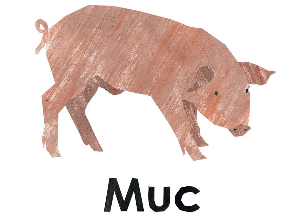 Ancient Manx words bring ABC book to life - BBC News