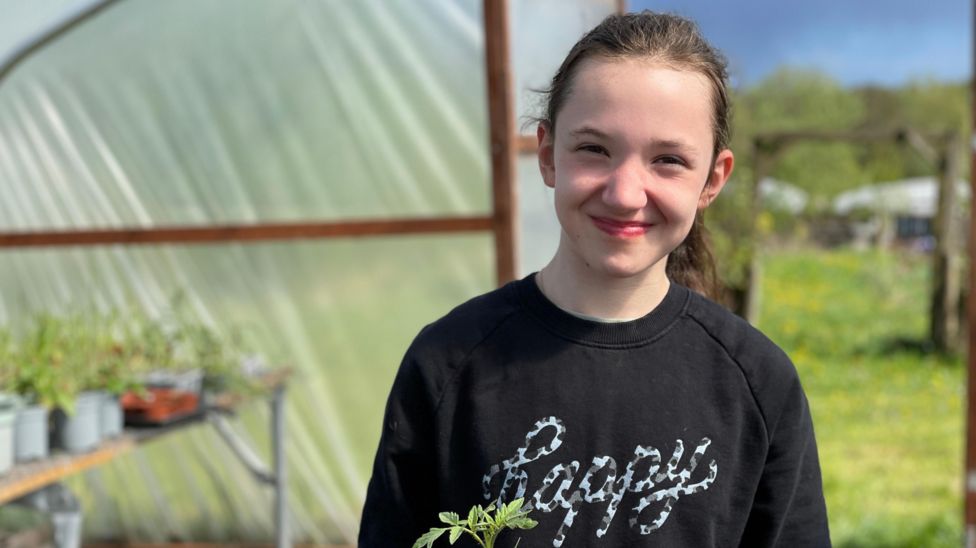 The Holt Heath farm giving young people a second chance - BBC News