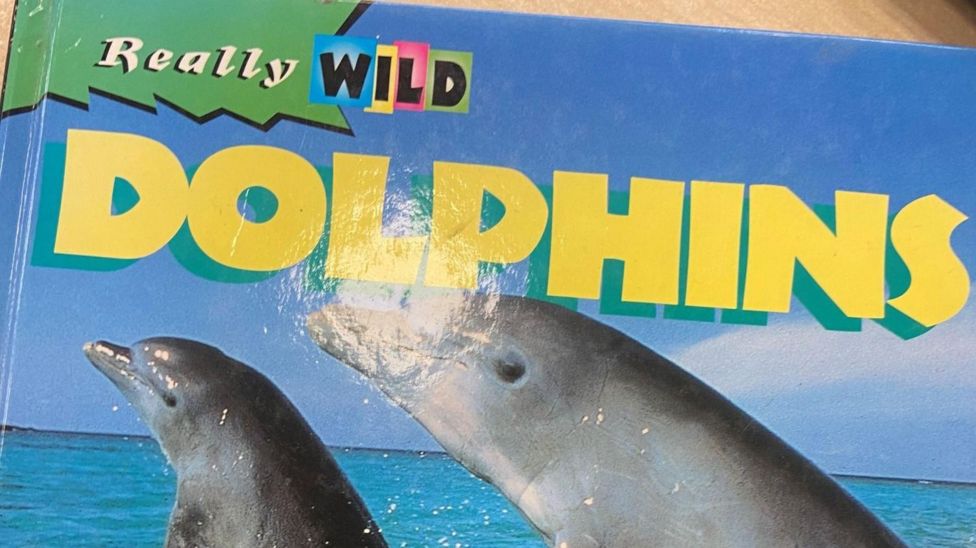 Newquay library book handed back 22 years late - BBC News