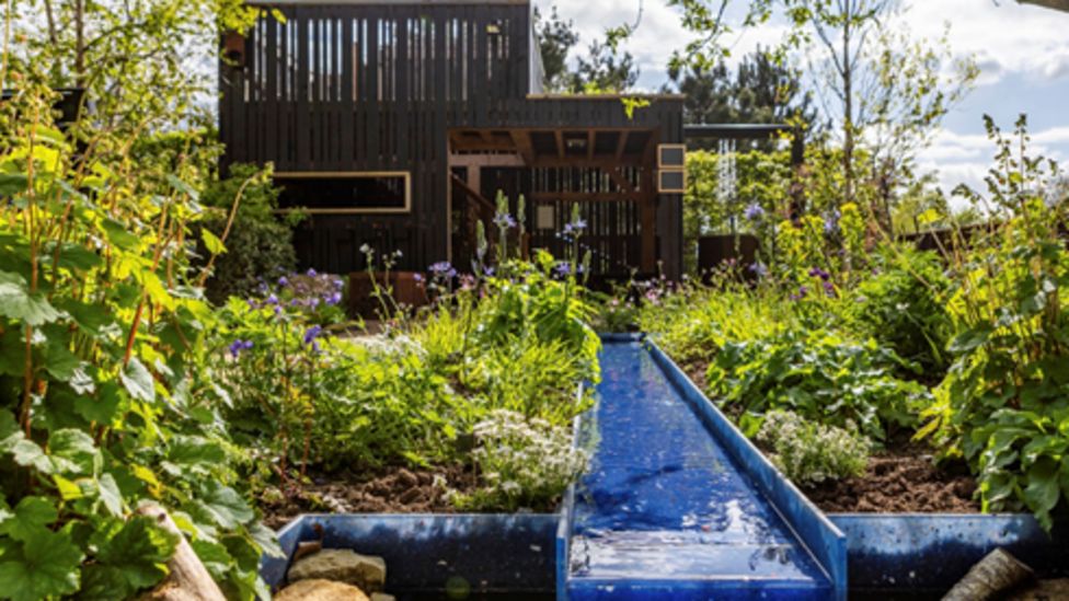 RSPCA Stapeley Grange opens its RHS Chelsea garden to the public - BBC News