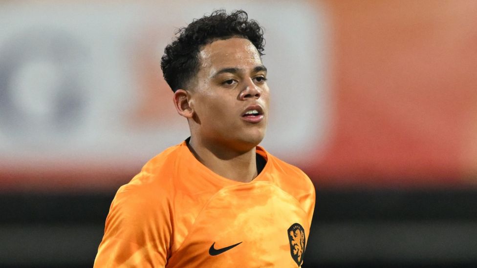 Stoke City: International watch on Manhoef and Johnson - BBC Sport