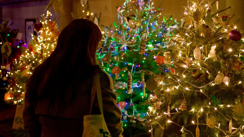 Royal Leamington Spa Christmas Tree Festival sparks into life - BBC News