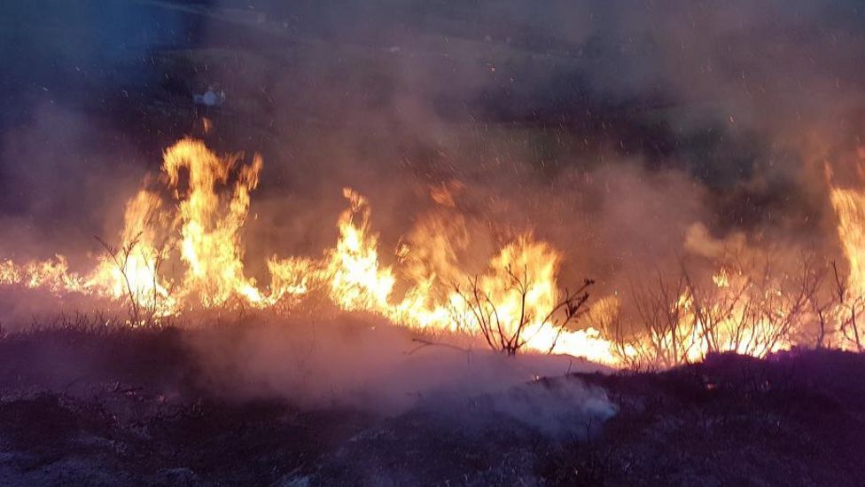 Firefighters battle wildfire near Rogart in Sutherland - BBC News