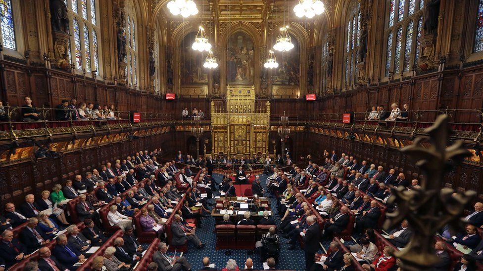 Too many peers 'undermines role of Lords' says new Speaker - BBC News