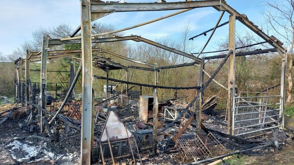 Dorset fire service believes hay fire began spontaneously - BBC News