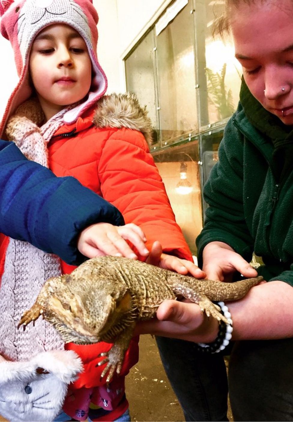 Gorgie City Farm: 'Credible' charities line up to take over - BBC News