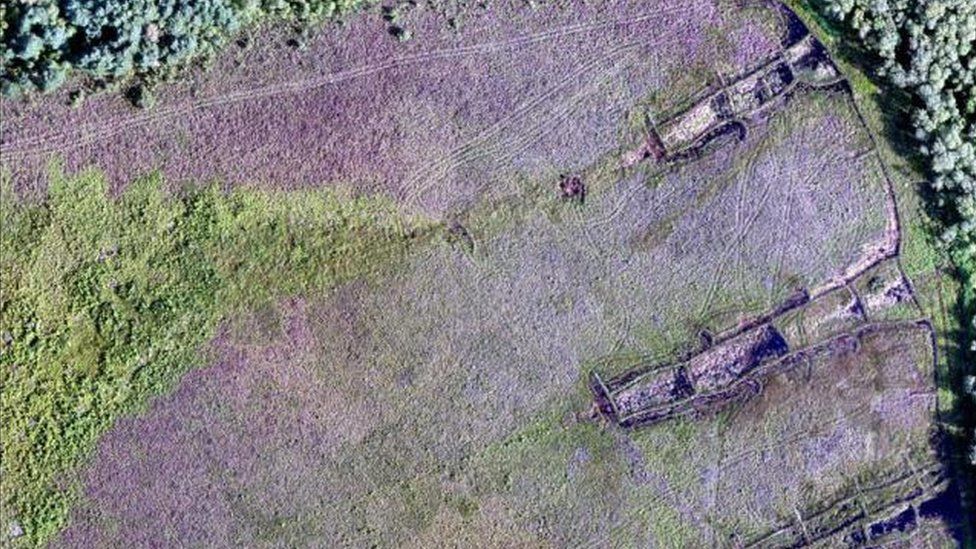 Satellites could help monitor state of Scotland's peat bogs - BBC News