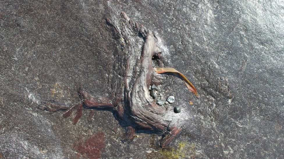 'Incredibly rare' find in Western Isles prehistoric forest - BBC News