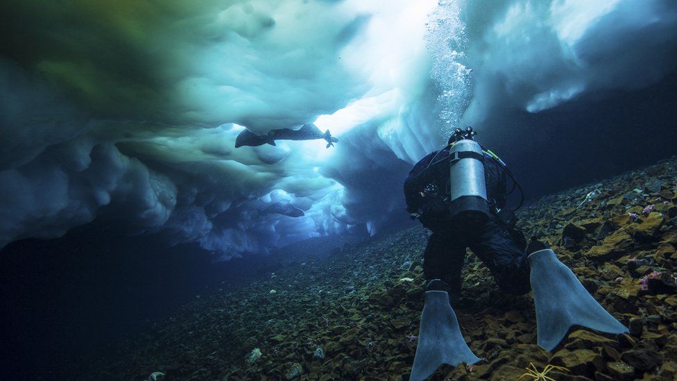 Seven Worlds, One Planet: Have a look at the stunning images from Sir ...