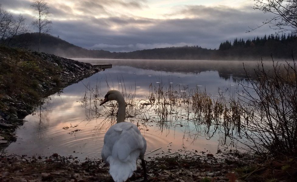 Your pictures of Scotland: 30 November - 7 December - BBC News