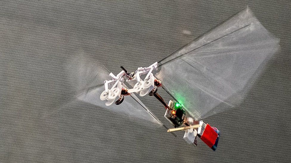 Robots could be used to support soldiers in combat - BBC News