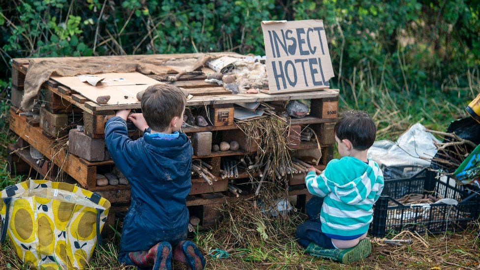 Somerset community farm's future 'on a knife edge' - BBC News