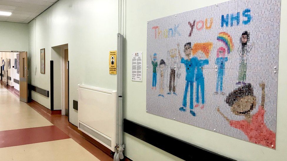 Covid: Call for butterflies to be new NHS support symbol - BBC News