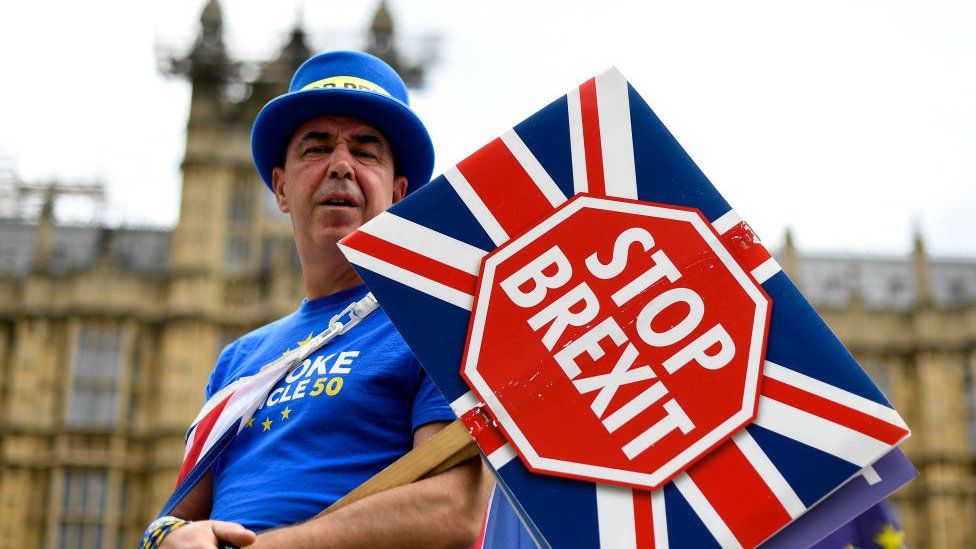 MP Nigel Adams filmed swearing at Mr Stop Brexit Steve Bray - BBC News